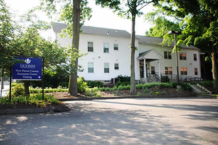 New Haven County | UConn 4-H